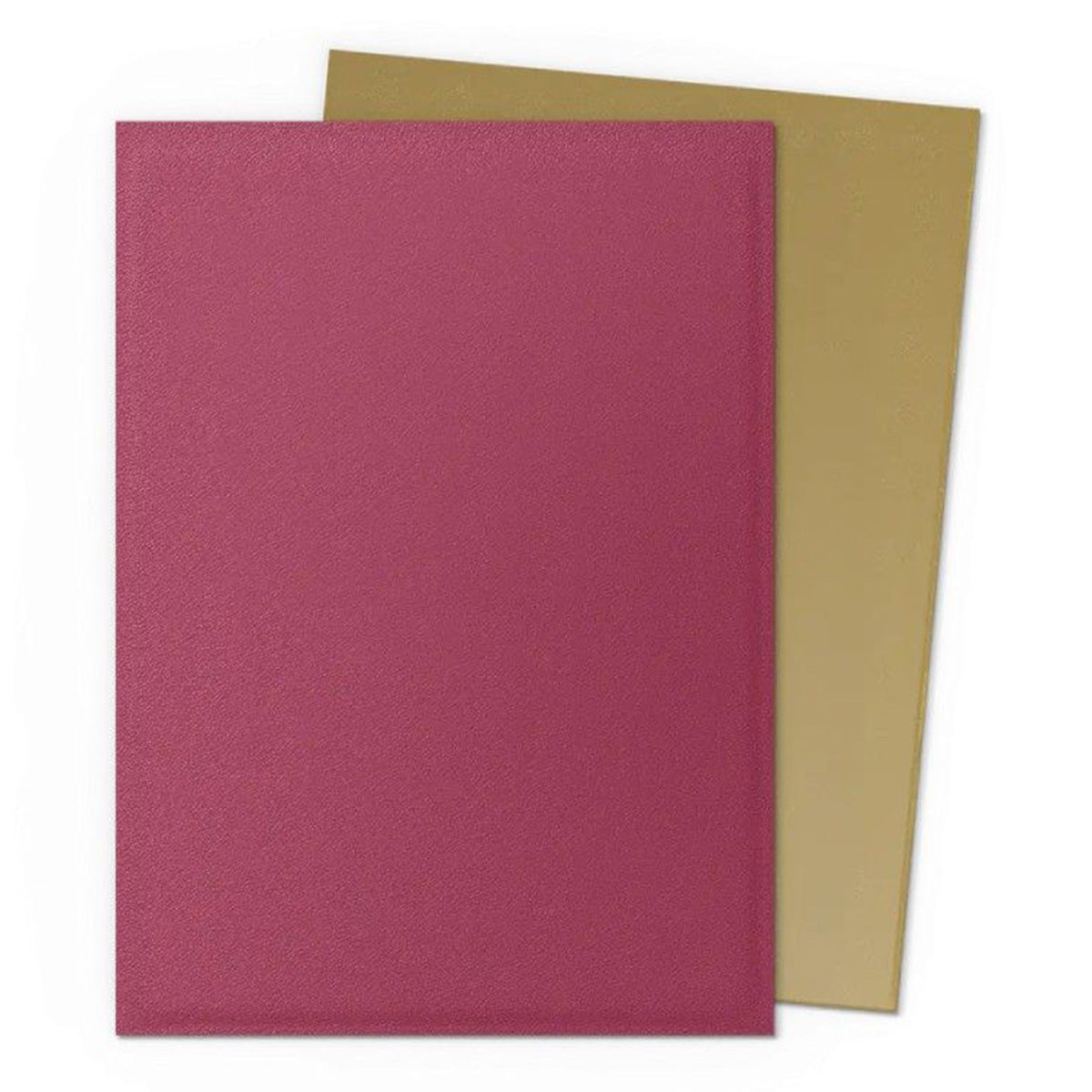 Dragon Shield 100ct Matte Dual Anniversary Special Edition Red Gold Sl ...