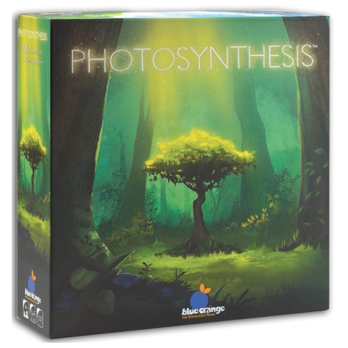 Photosynthesis | Board Game – Gameology
