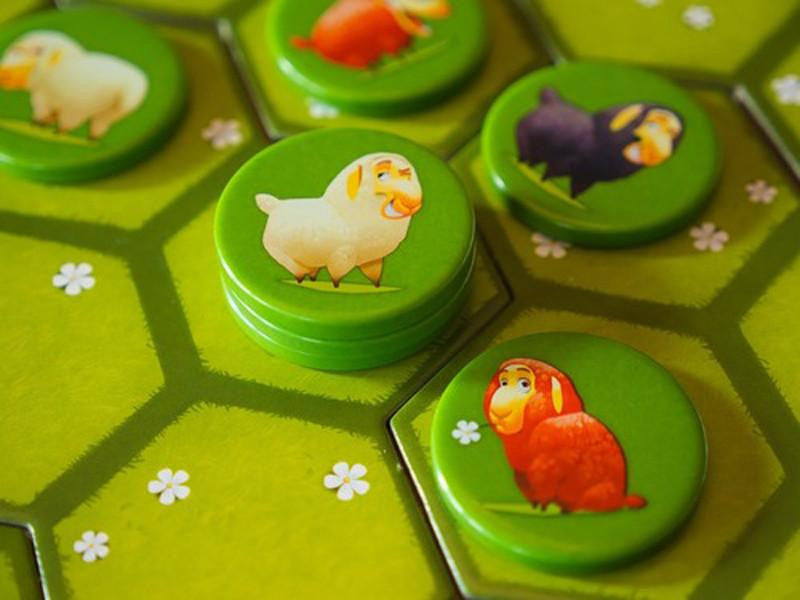 Battle Sheep | Board Game – Gameology product